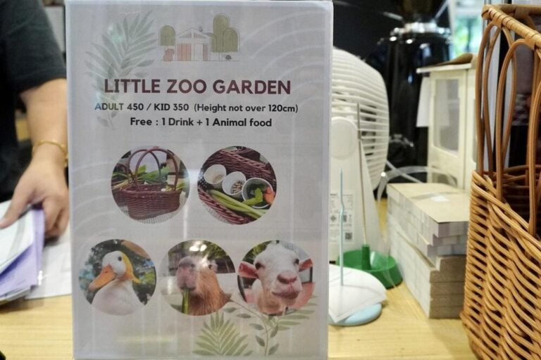 【LittleZooGarden（リトルズーガーデン）】オンヌットの庭付き動物カフェ｜BANGKOK GIRLS NOTE BYぷくこ 〜女子のためのタイ・バンコク完全ガイド〜