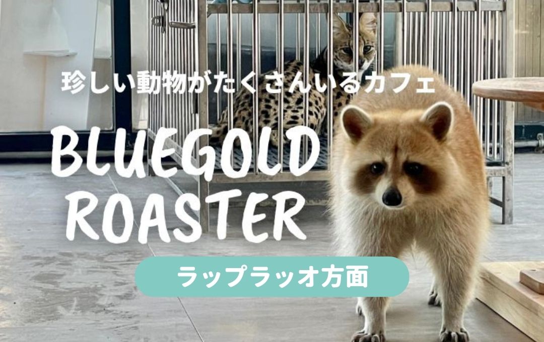 【BLUEGOLD ROASTER（ブルーゴールドロースター）】珍しい動物がたくさんいるカフェ｜BANGKOK GIRLS NOTE BYぷくこ 〜女子のためのタイ・バンコク完全ガイド〜