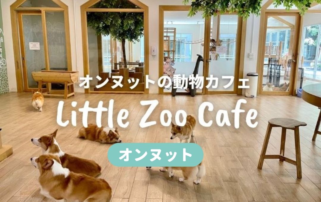 【Little Zoo Cafe（リトルズーカフェ）】コーギーの楽園！オンヌットの動物カフェ｜BANGKOK GIRLS NOTE BYぷくこ ...