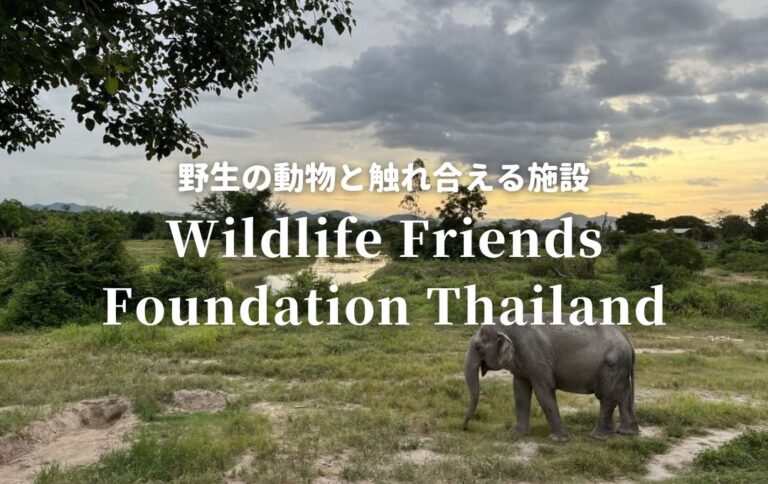 広大な自然でタイの野生動物と触れ合える【Wildlife Friends Foundation Thailand】でサファリ体験 ...